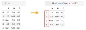 【Python図解】Pandas DataFrameで欠損値のある行・列を削除する（dropna( )メソッド)を解説！